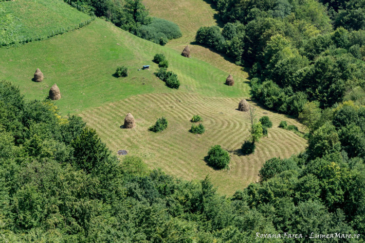 Vacanță în familie: Cheile Lazuri - Ecoturism, cultura si creativitate